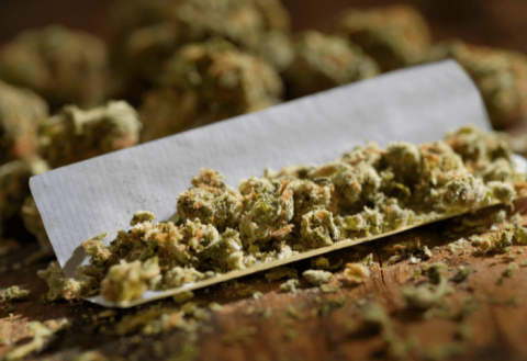 Joint Vs Blunt: What's The Difference - East Bay Cannabis Delivery